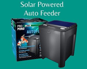 New…!JBL Solar Powered Auto Feeder - Coastal koi